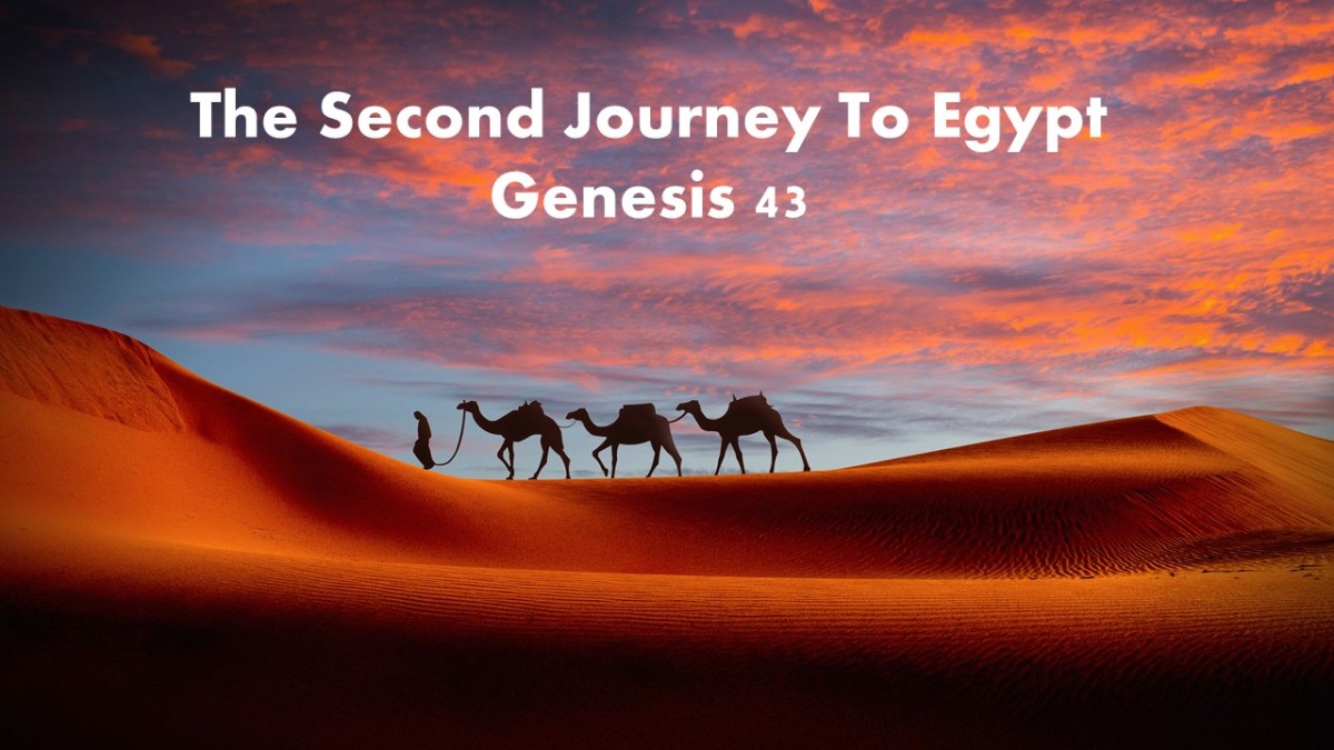 Genesis 43: Brothers Meet Again – only savior jesus