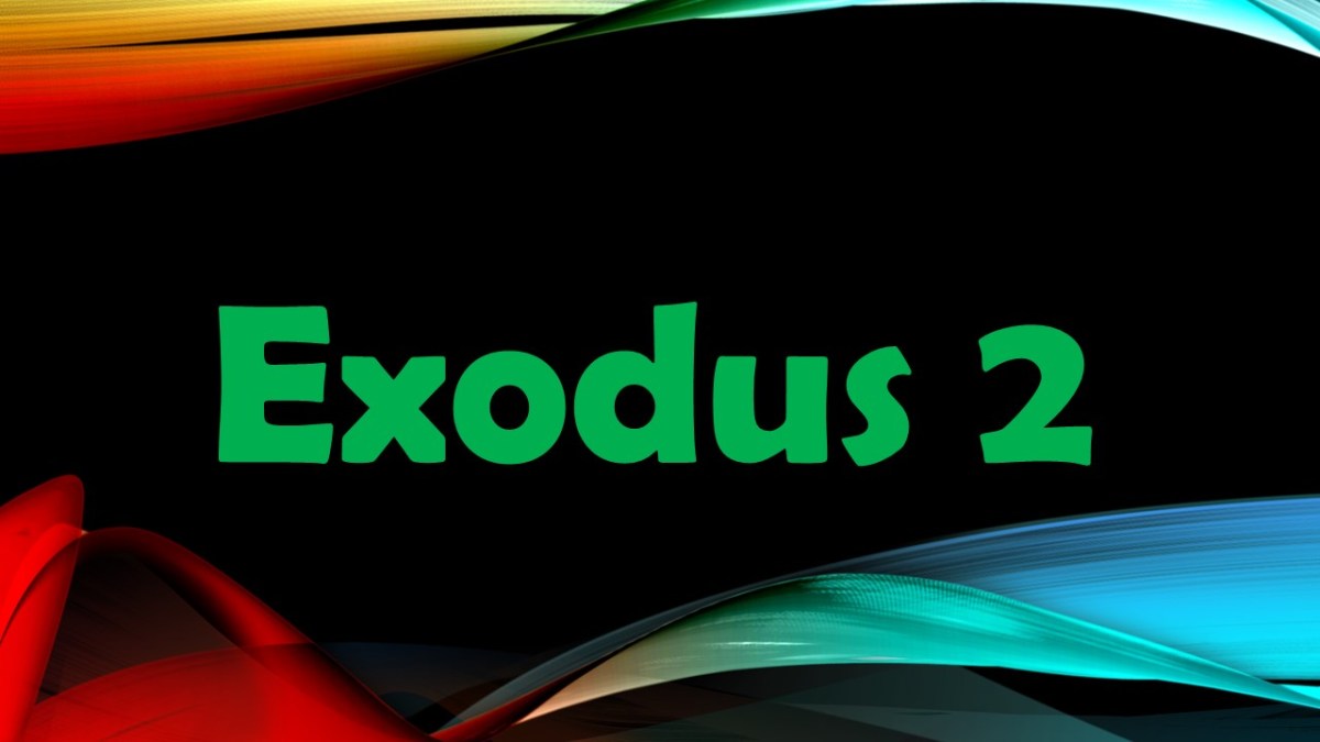 Exodus 2: The raising Up A Leader – only savior jesus