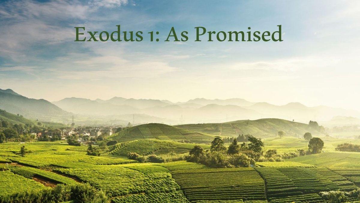 Exodus 1 : Fruitful in Afflictions – only savior jesus