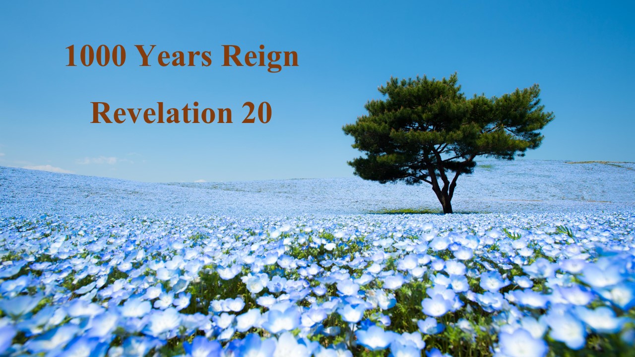 Revelation 20 : The White Throne Judgement – only savior jesus