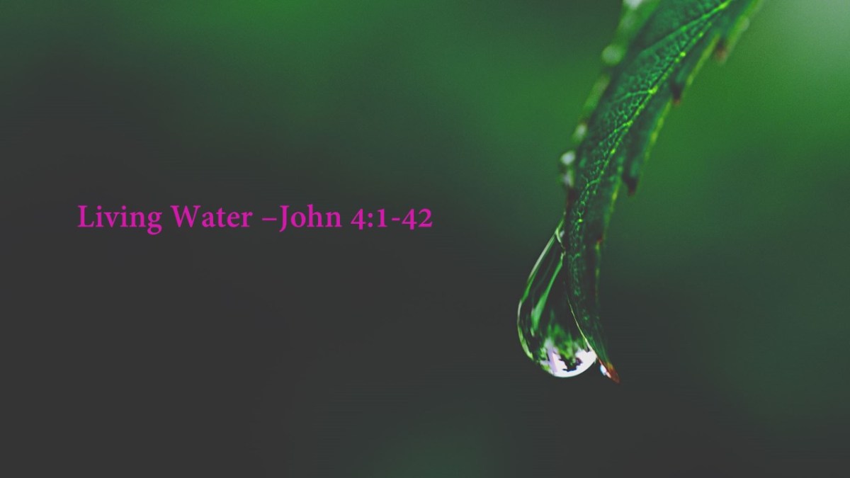 John 4:1-42 : Appointment With jesus – only savior jesus